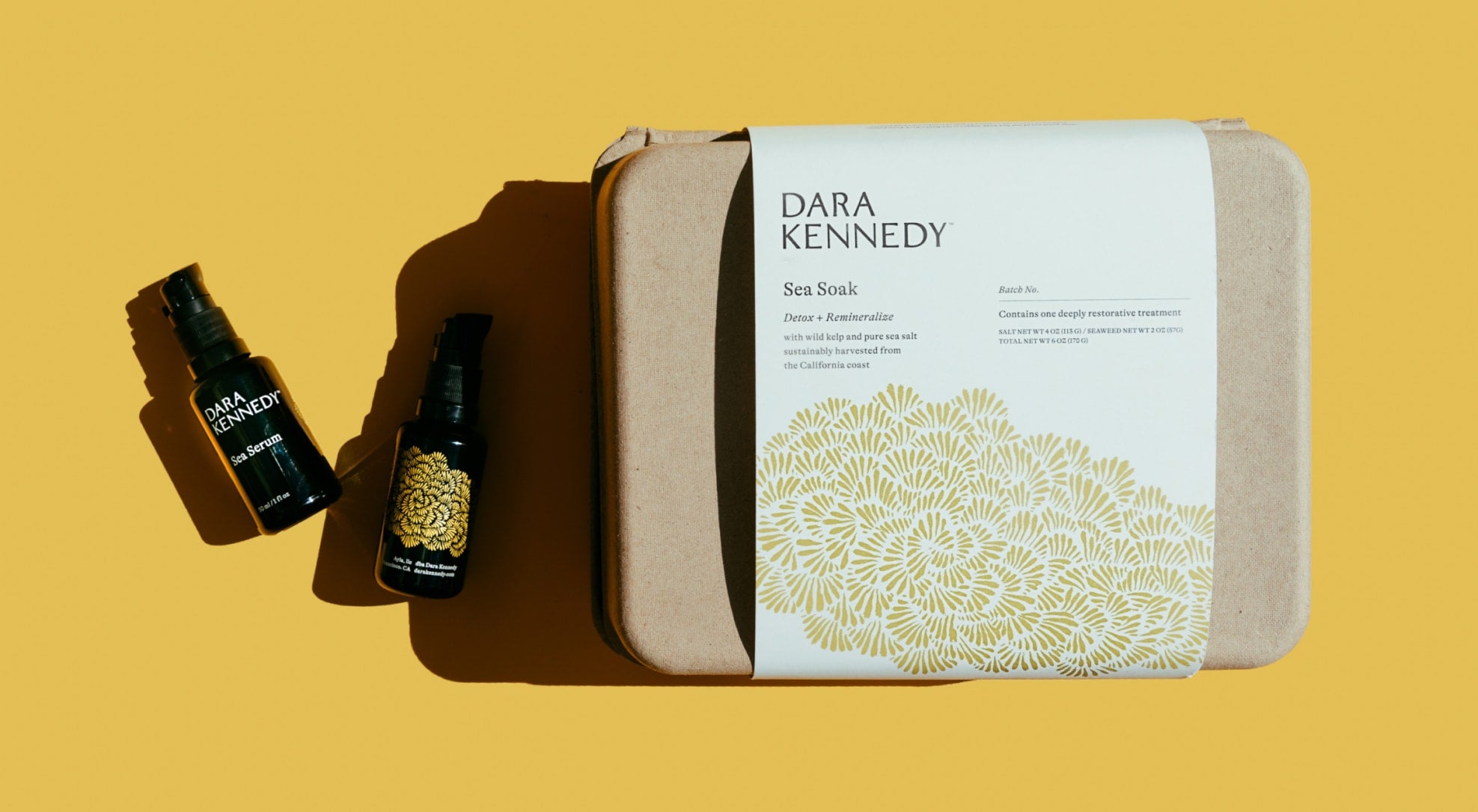 Dara Kennedy | Brighter Beauty